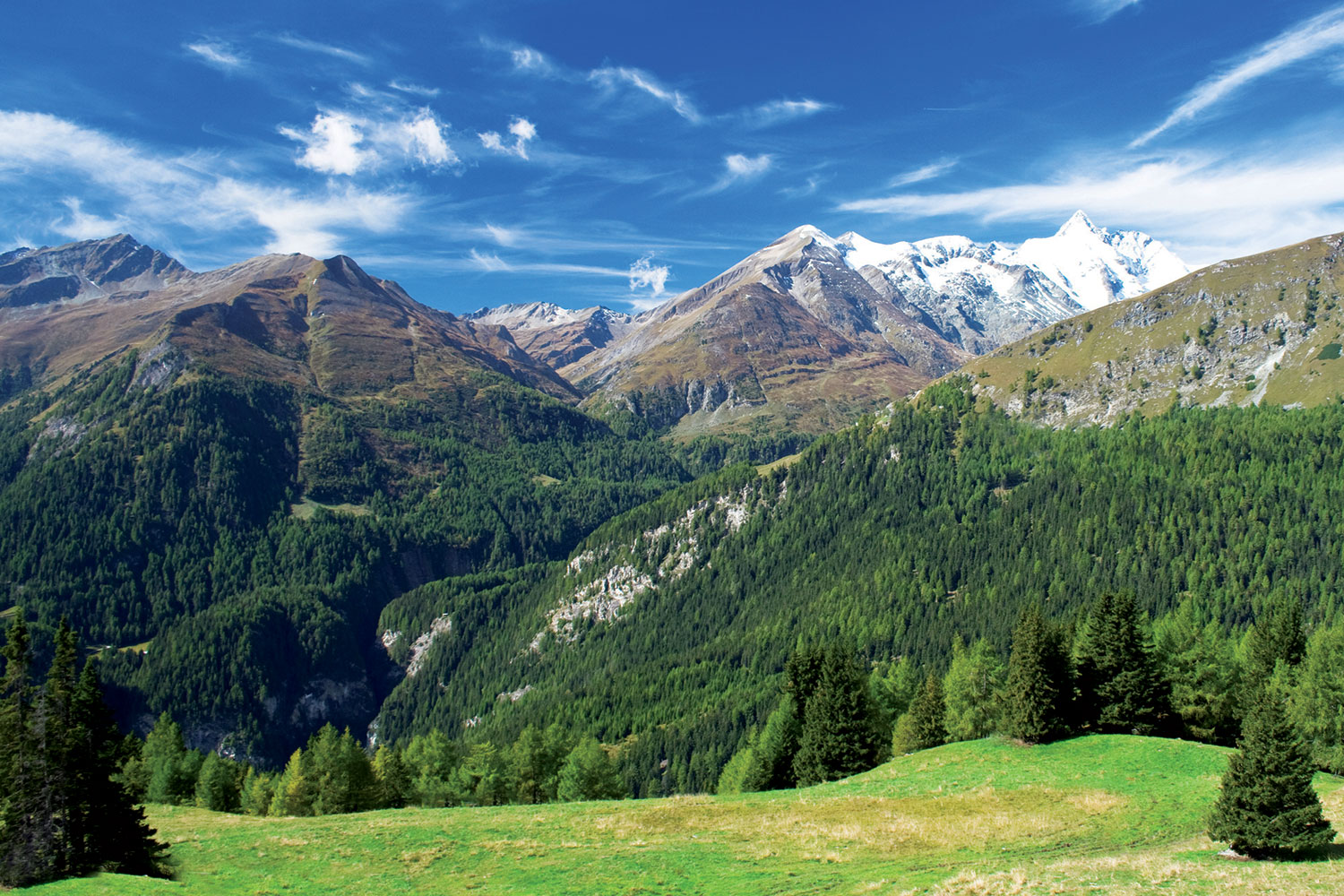 14 En Ete Percantik Ruangan!